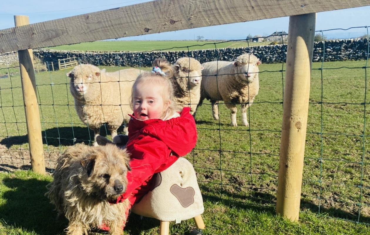 On farm experiences | Balnab Dairy