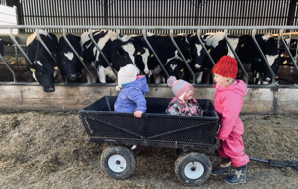 On farm experiences | Balnab Dairy