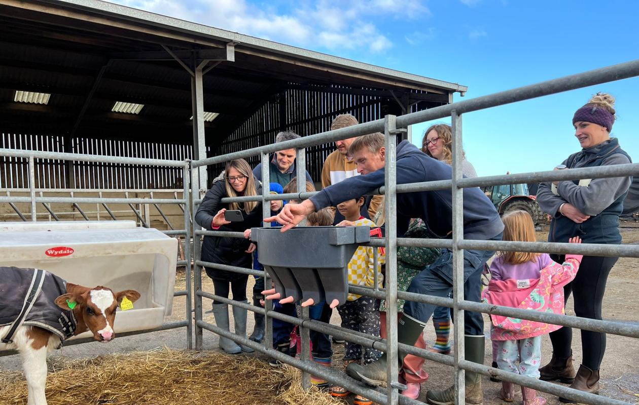 On farm experiences | Balnab Dairy