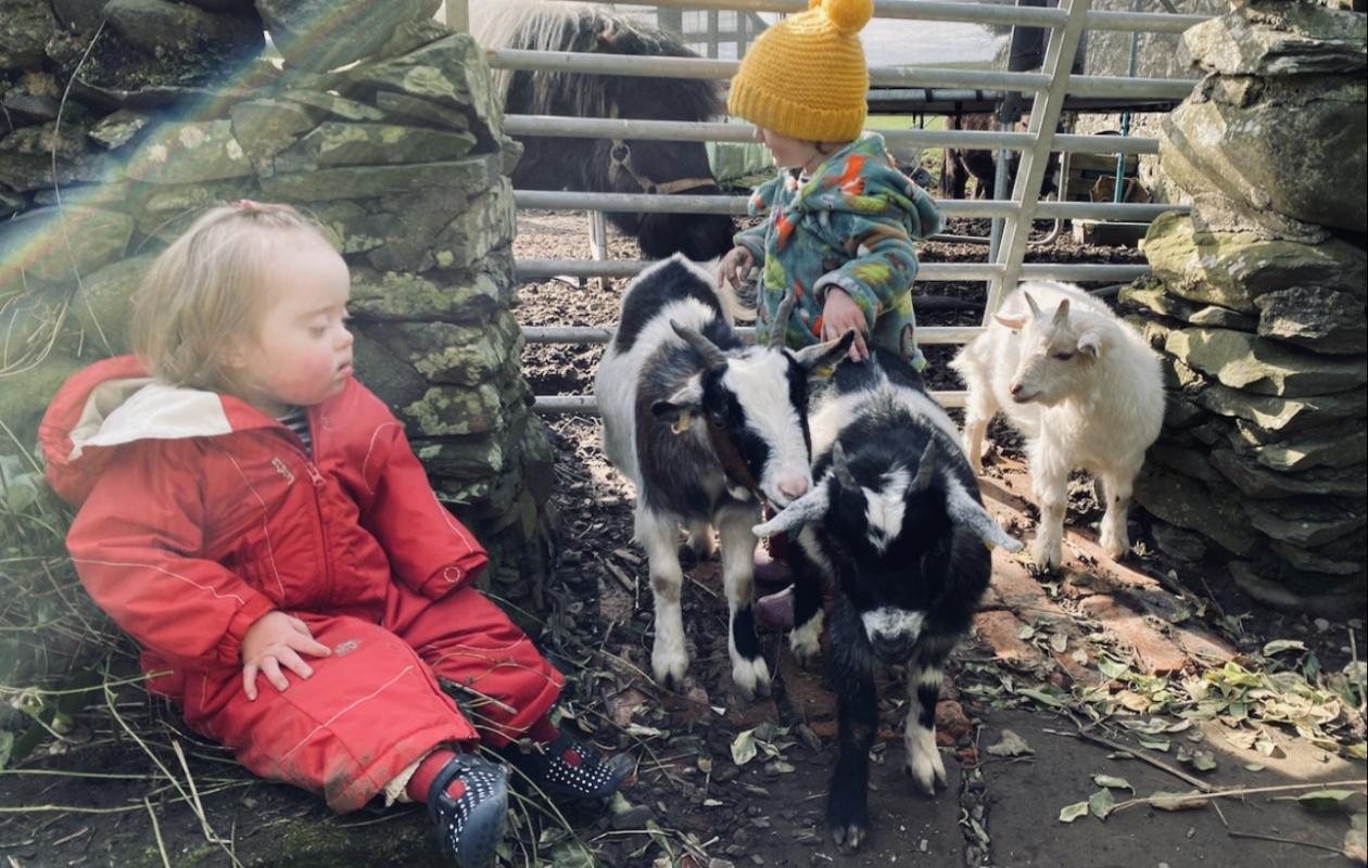 On farm experiences | Balnab Dairy